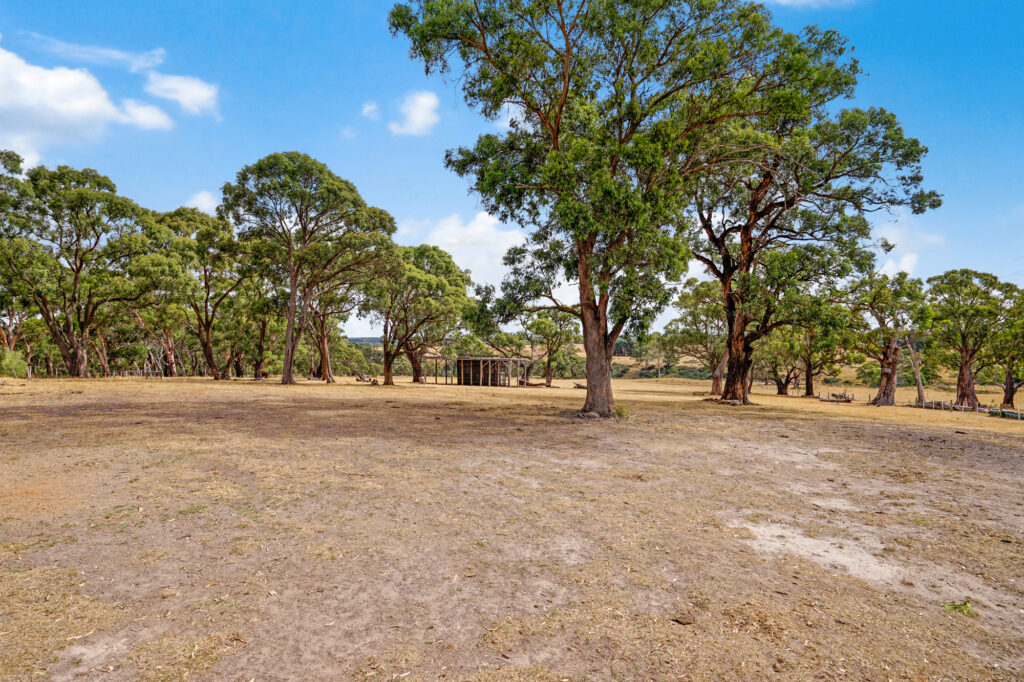 1052 Yendon Egerton Road, Mount Egerton - McFall Real Estate Ballan